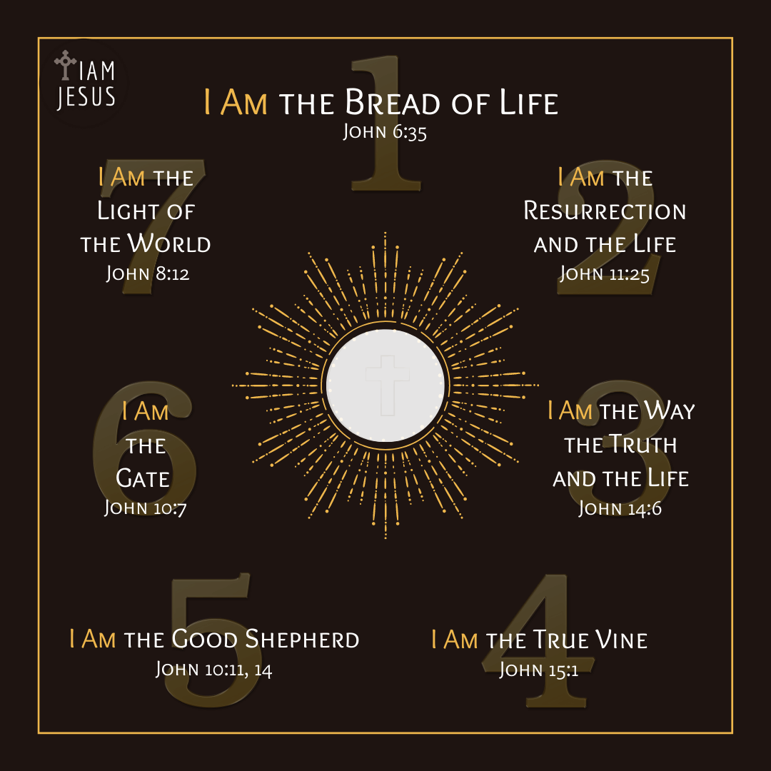 “I Am the Bread of Life” What is Jesus in the Eucharist? How to Adore Him?